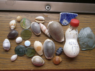 貝がら 漂着物 : 林山キネマの日常劇場